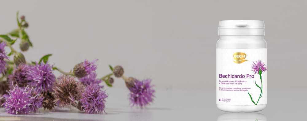 Bechi Complementos Alimenticios Naturales - Bechibeauty