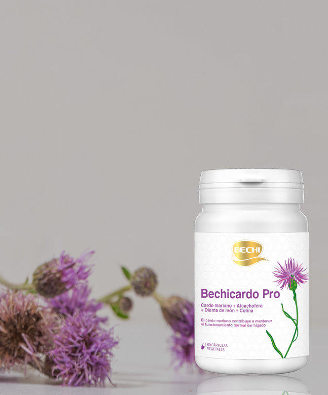 Bechi Complementos Alimenticios Naturales - Bechibeauty